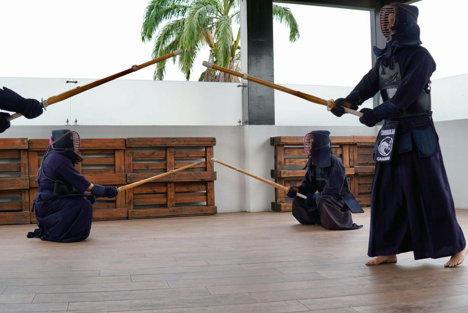 Preguntas Frecuentes - Shobukan Dojo